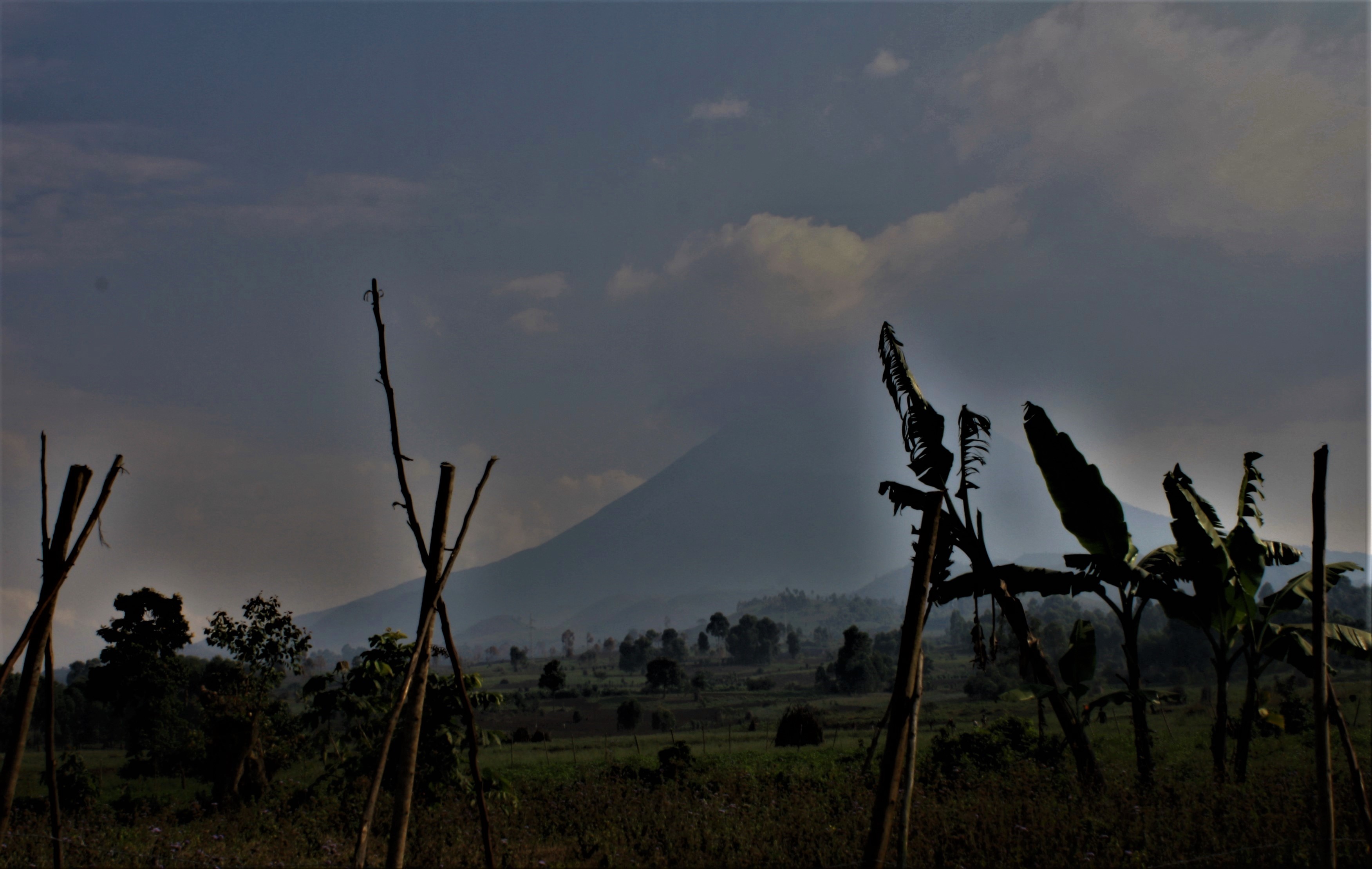 Grantee Sophie Neiman Discusses Her Africa Reporting at William & Mary ...