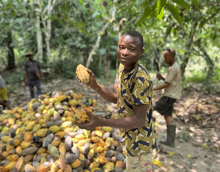 The Sangha and Likouala Forest: Between Carbon Credits and Illegal Gold ...