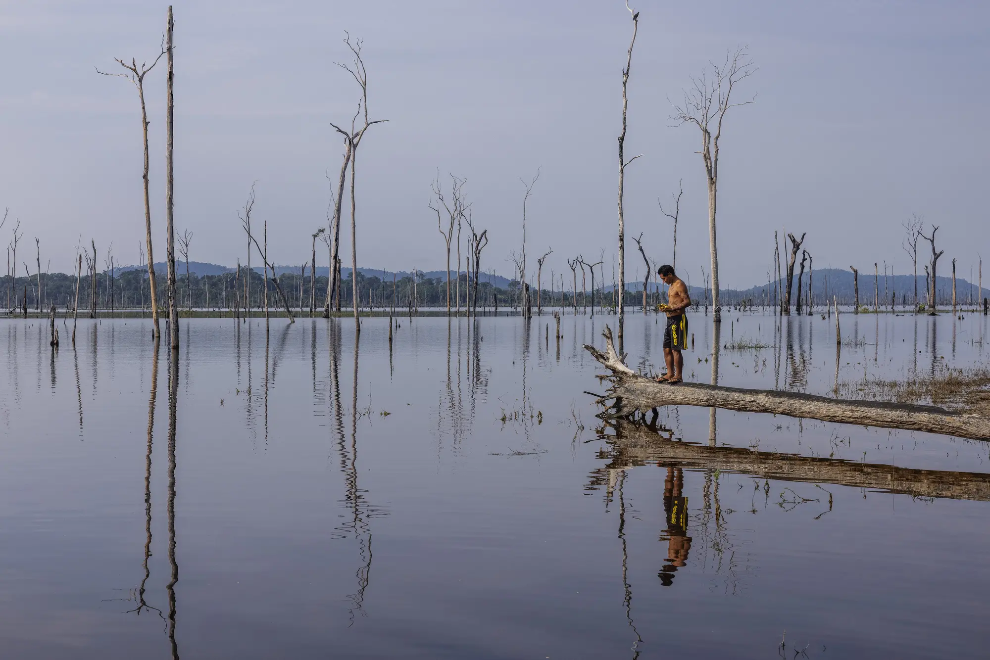 Waimiri Atroaris Resistem a Rodovia, Mineradora, Usina E Linhão E Lutam ...
